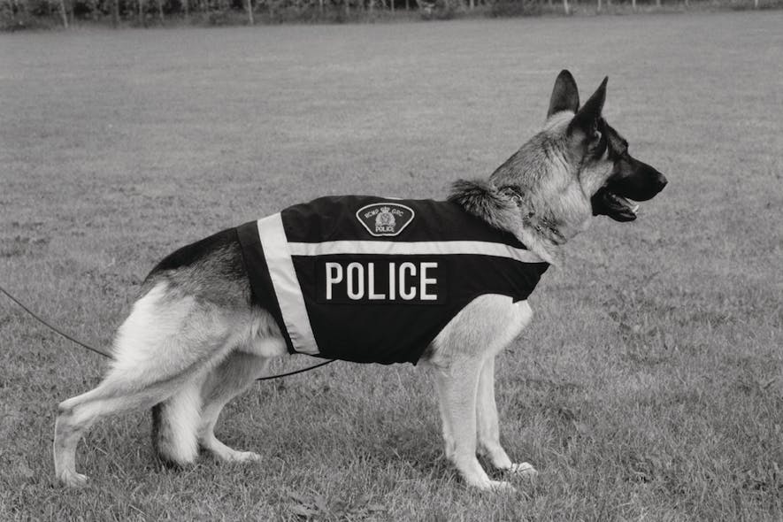 Professional Canine Uniforms | Officer