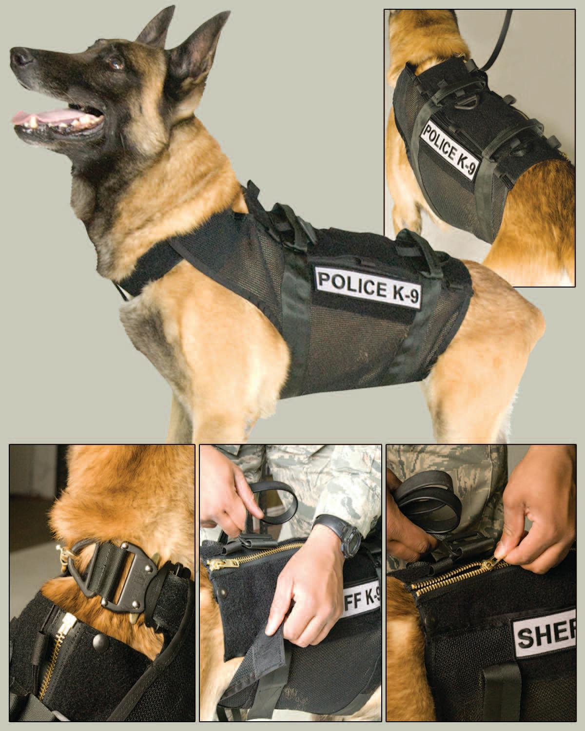 RAPTOR Harness | Officer