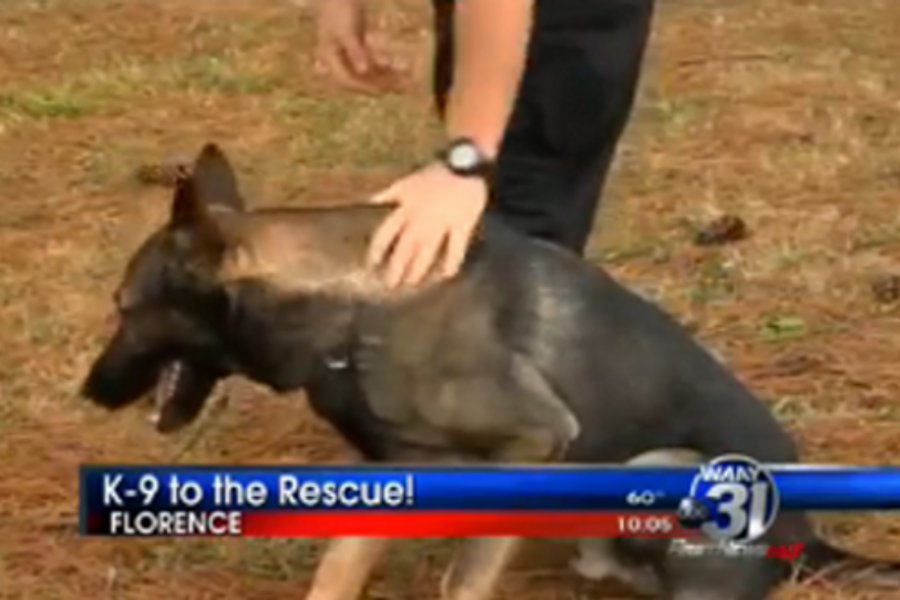 Alabama Police K-9 Helps Assaulted Officer | Officer