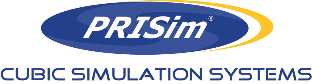 CUBIC Simulation Systems | Officer