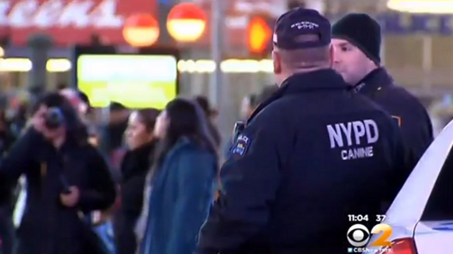 NYPD on High Alert After France Attack | Officer