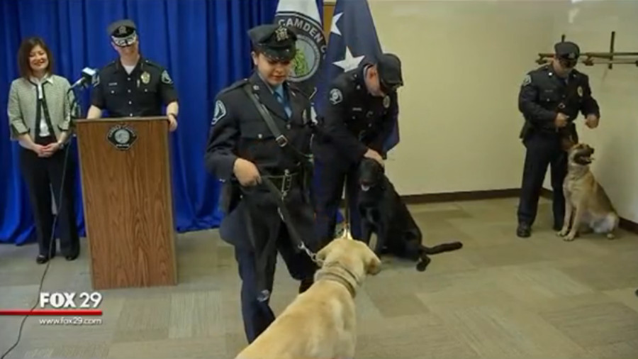 New Jersey Department Welcomes First Female K-9 Handler | Officer