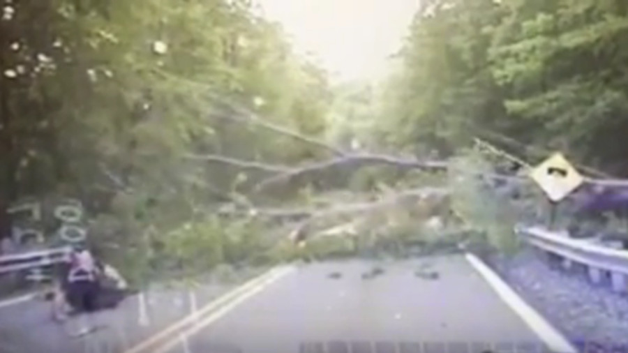 Video: Tree Falls on New Jersey Police Officer | Officer
