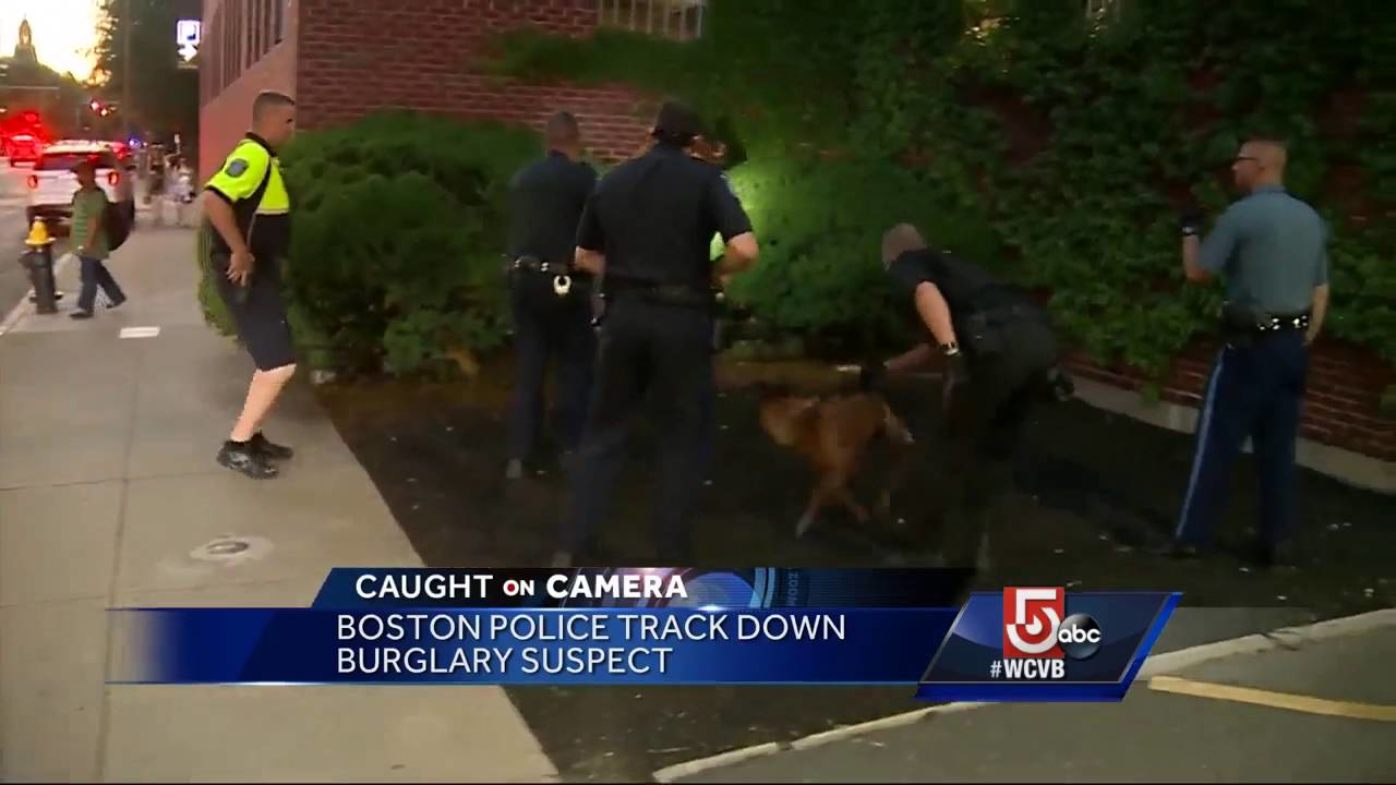 Video: Police Track Down Suspect Hiding in Bushes | Officer