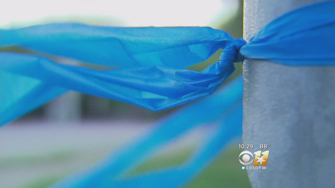 Blue Ribbons to Support Dallas Police Torn Down | Officer