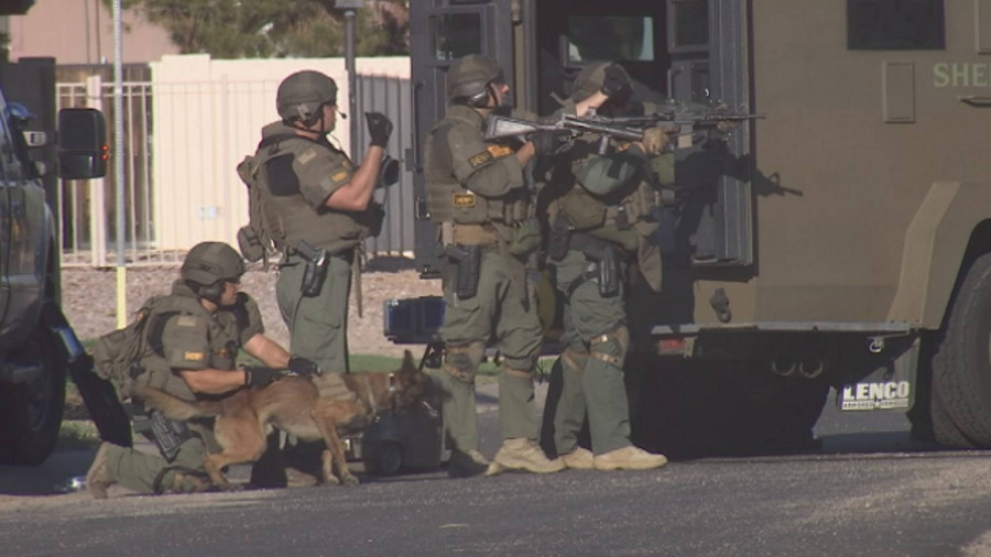 Video Shows Standoff, Attack on Arizona Sheriff's K-9 | Officer