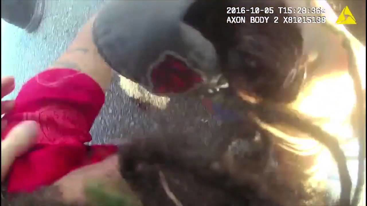 CPD releases video of female cop being beaten by man on drugs | Officer