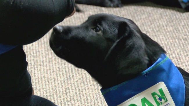 Service Dog Named After Fallen Indiana Sheriff's Deputy | Officer