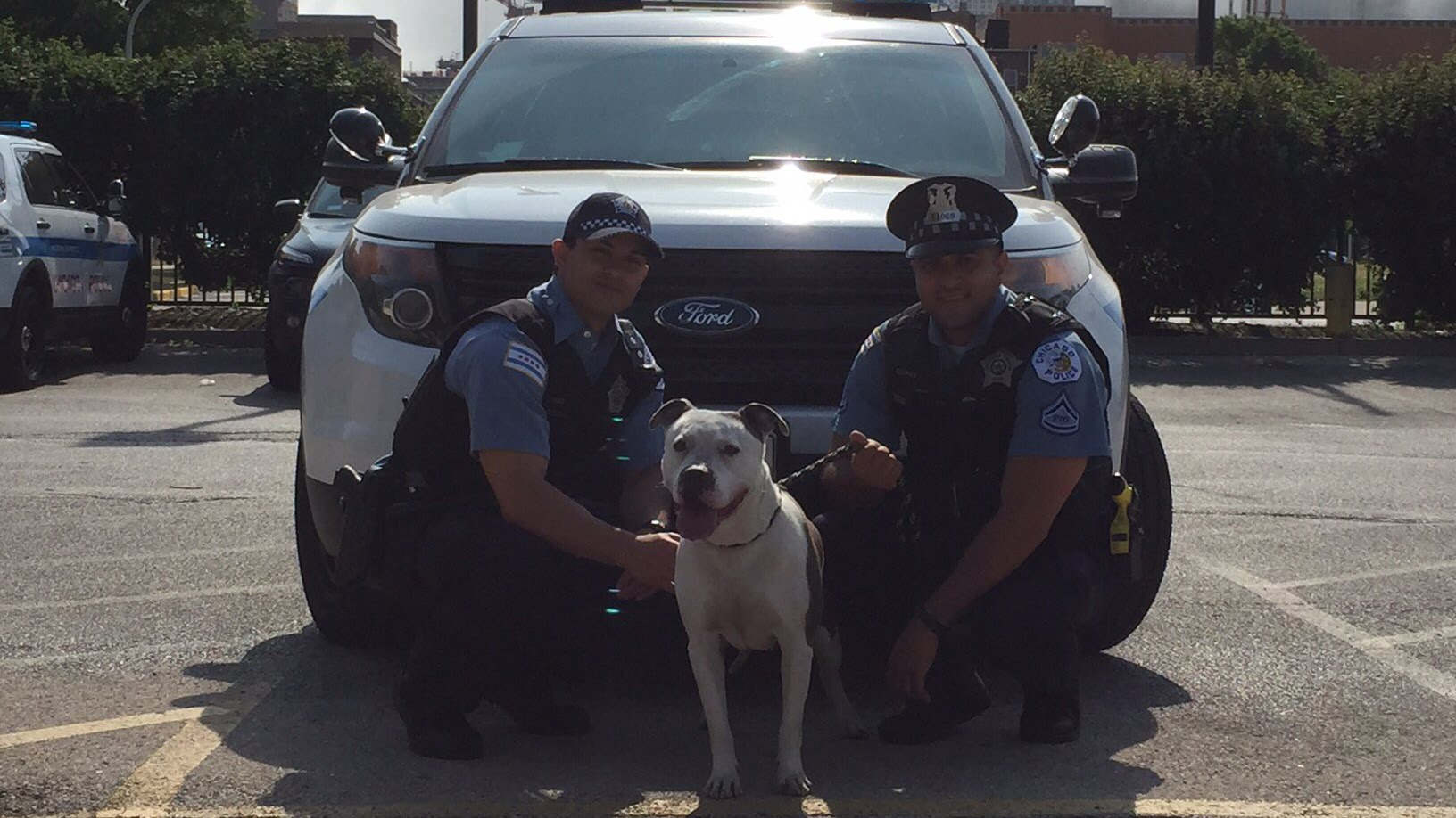 Chicago Police Officer Rescues Dog That Fell In Lake Michigan | Officer