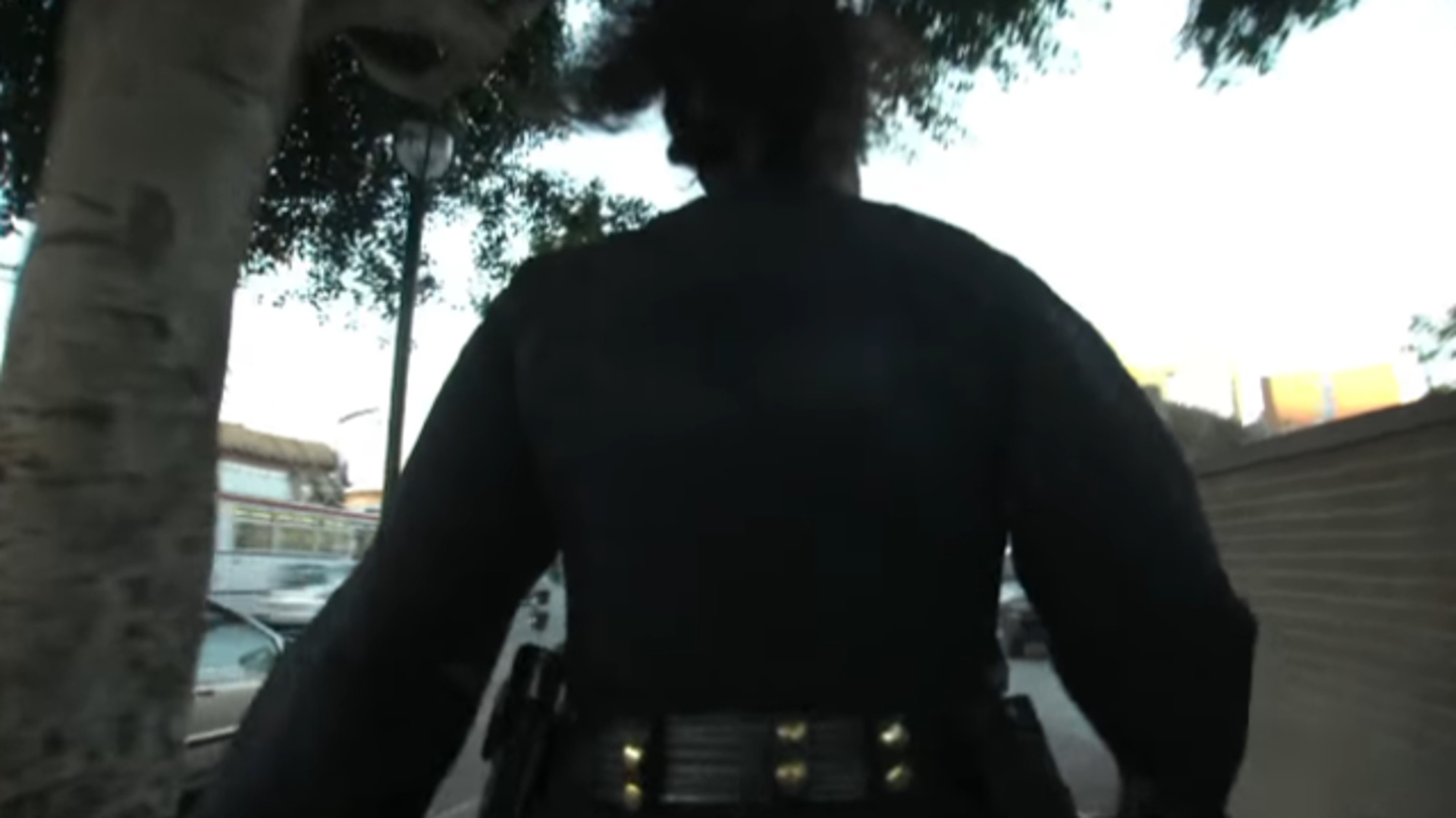 'Black and Blue': Black Police Officers Navigate a Divided Country ...