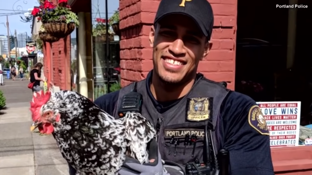 Portland Police Officer Helps Chicken Cross the Road | Officer