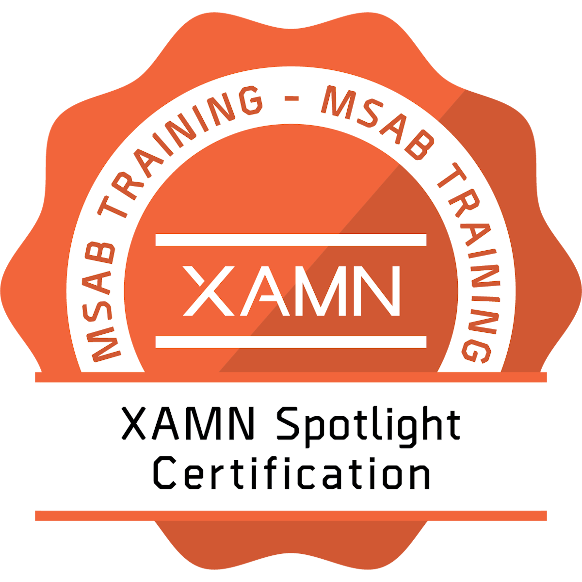 MSAB adds online training options to its popular classroom training ...