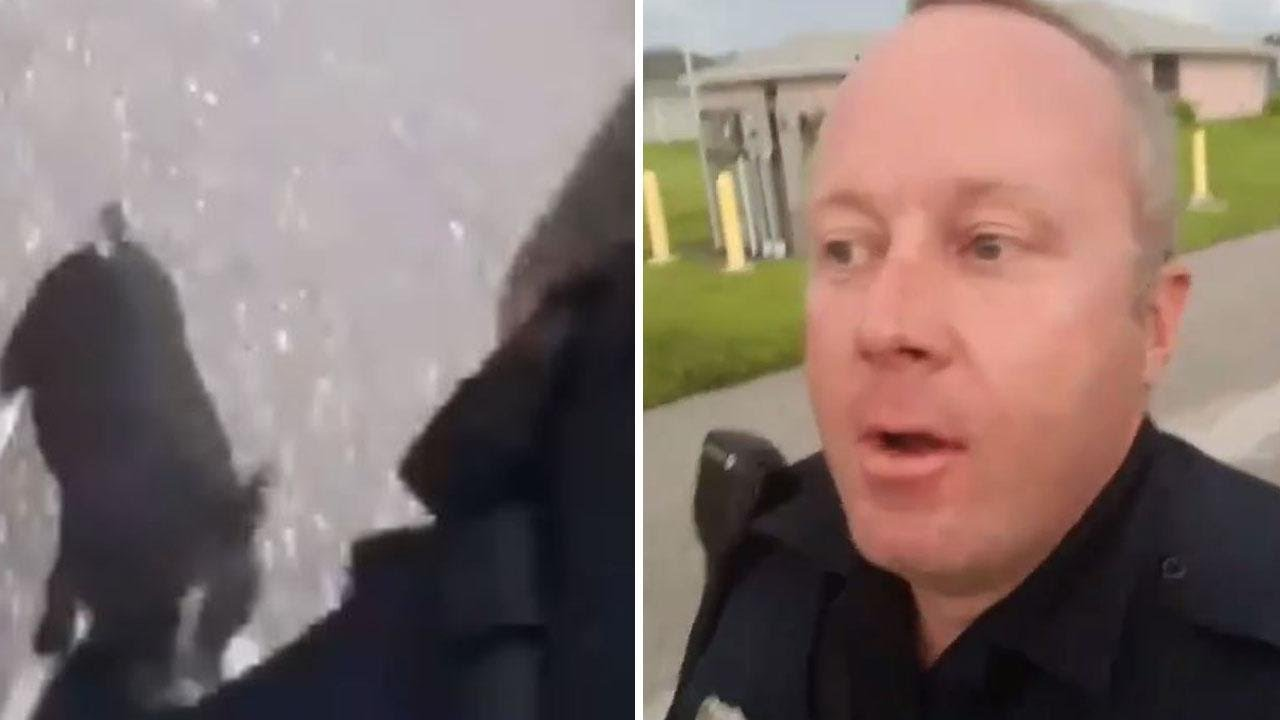 Video: Pig Escapes Pen and Chases Florida Police Officer | Officer