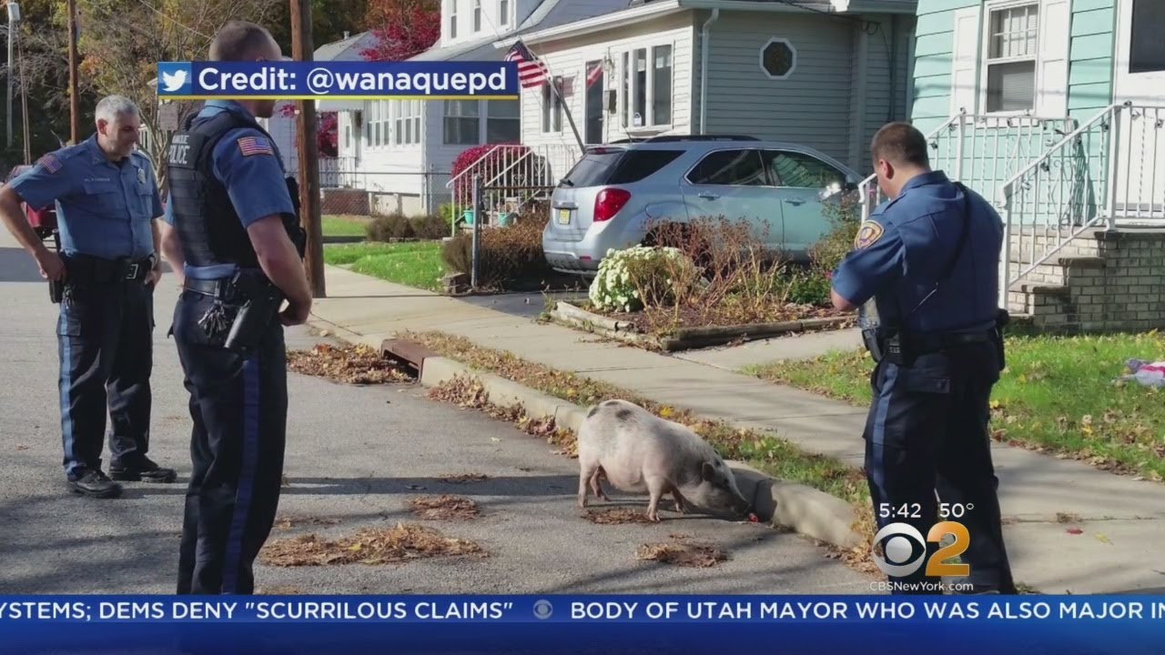 New Jersey Police Officers Bring Home the Bacon | Officer