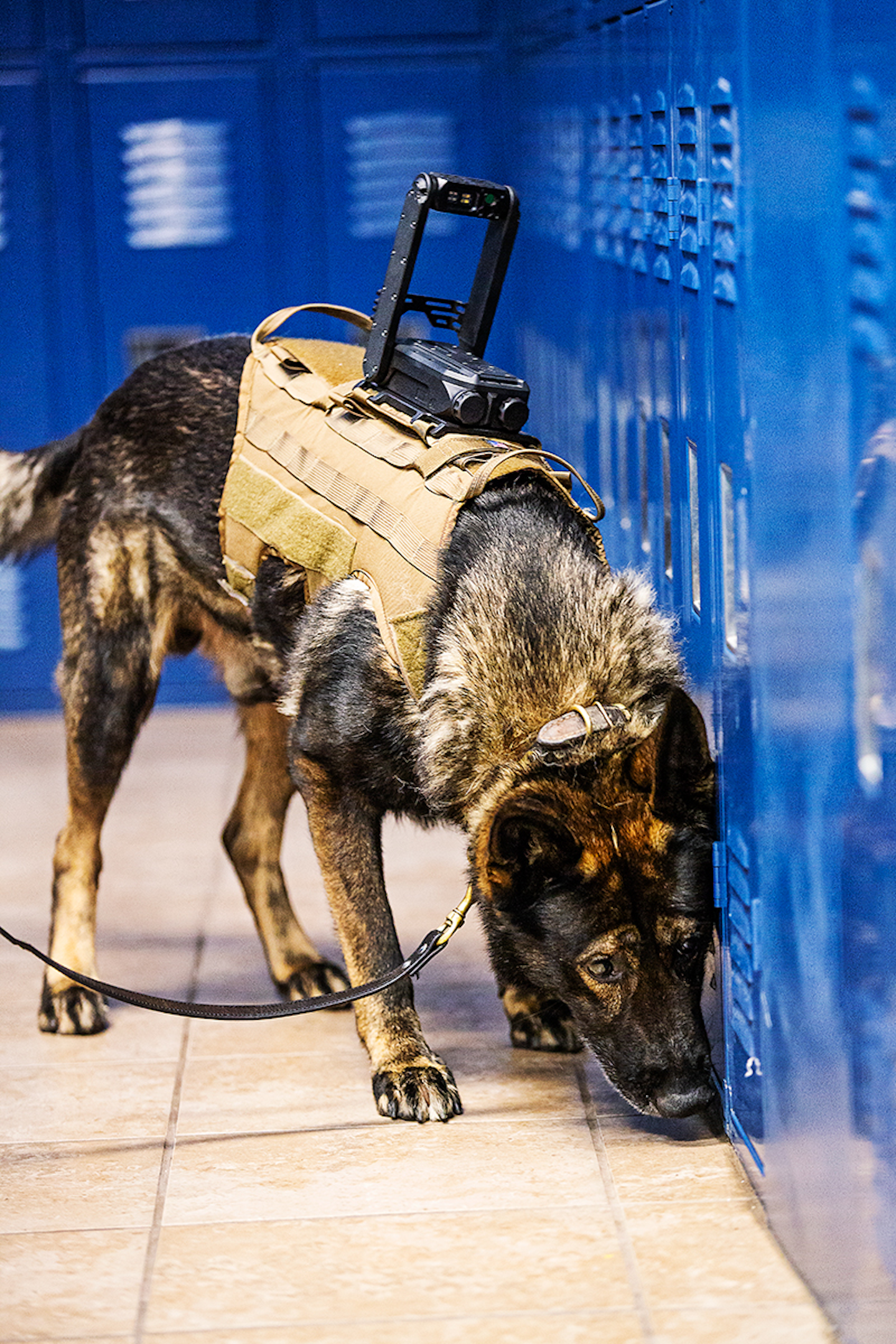 Core K9 Camera From: Tactical Electronics | Officer