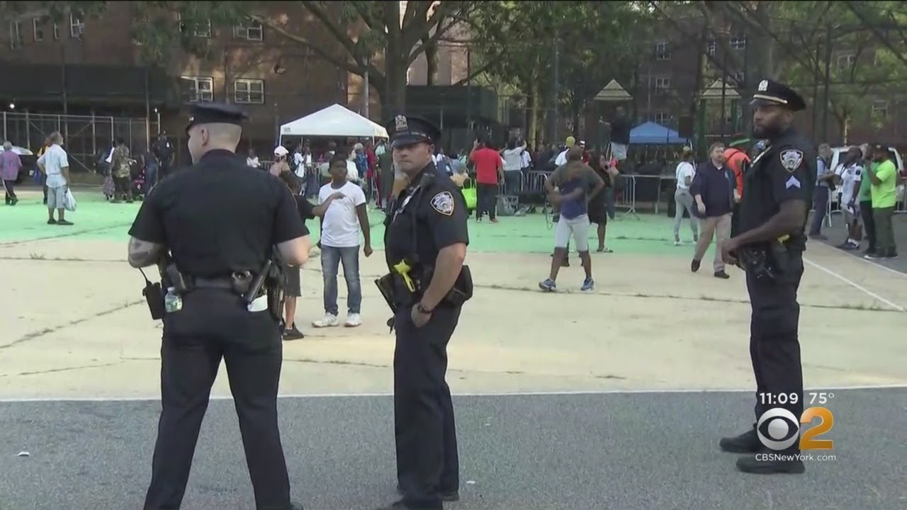 NYPD Joins Community for National Night Out | Officer