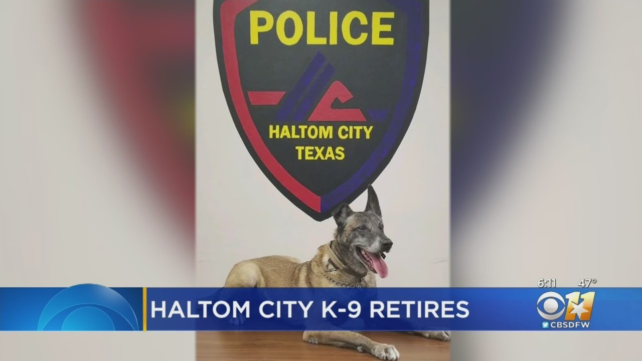 Beloved Texas Police K-9 Retires After Fighting Crime for Almost a ...