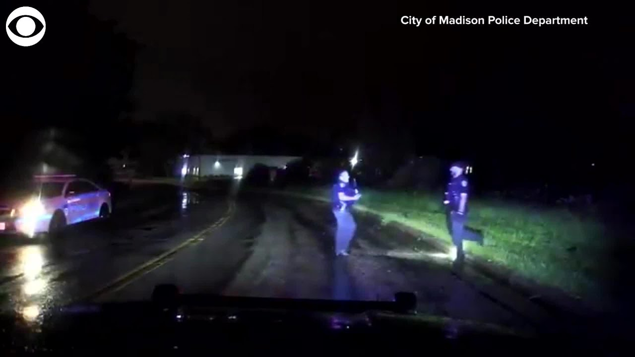 Video: Wisconsin Police Officers Rescue Snapping Turtle | Officer