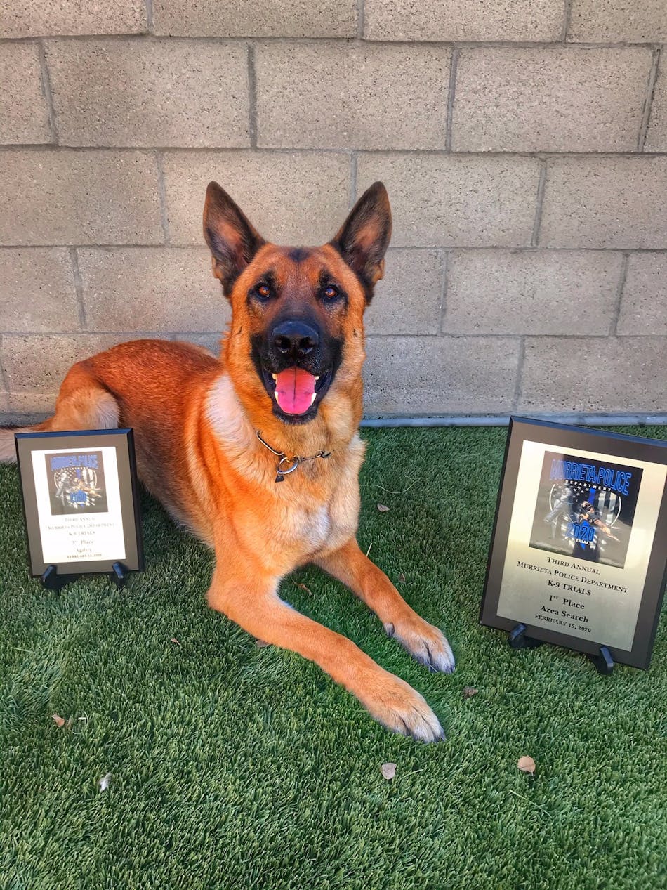 K-9 Finding Ways to Fund Your K-9 Unit | Officer