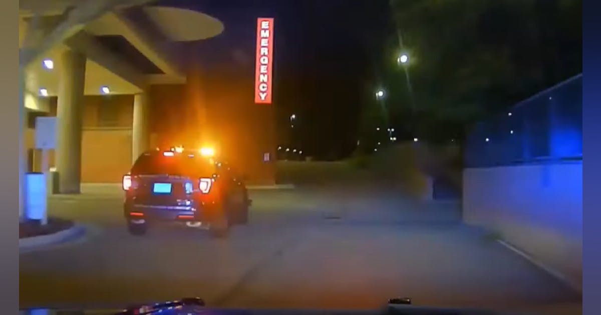 Video Michigan Police Vehicle Stolen During Parking Lot Fight Officer