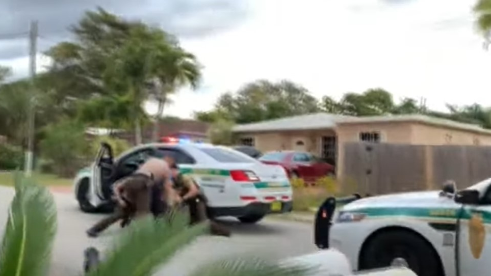 Video: Chase Begins after Fla. Officer Struck by Moving Car's Open Door ...