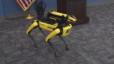 Watch Fla. Police Department Unveil New Robotic Dog | Officer