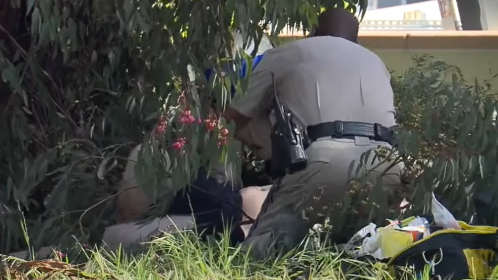 Video: Driver Jumps Off Freeway to Flee San Diego Police During Chase ...