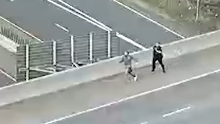 Watch Man Jump Off Overpass to Unsuccessfully Flee Minn. Police | Officer