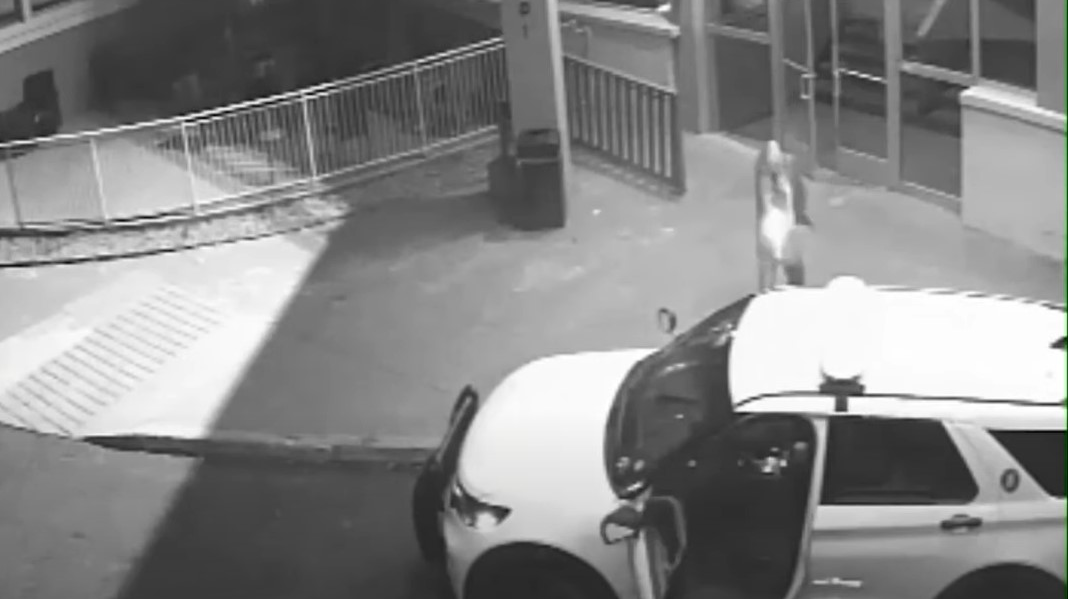Security Camera Captures Ambush Shooting on Denver Police Officer | Officer