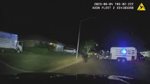 Watch Texas Sheriff's Deputies Help Corral 'Quite Agitated' Bull | Officer