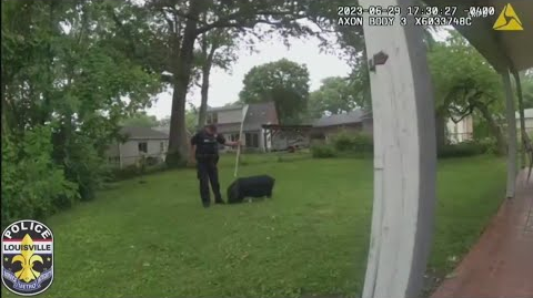 Louisville Police Go Hog-Wild Chasing Pig Through Neighborhood | Officer