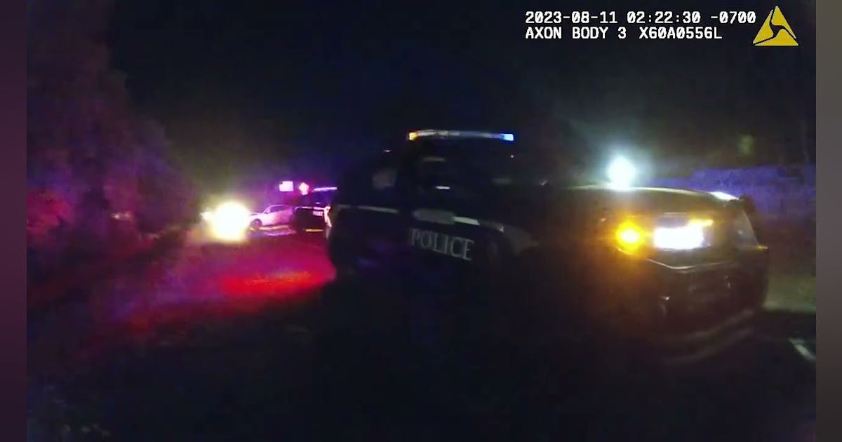 Video Drunk Driver Crashes Into Ore Police Cruiser During Dui Stop