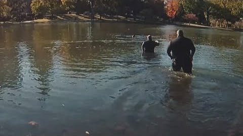 Watch University Circle Ohio Police Officer Jump into Frigid Lagoon to ...